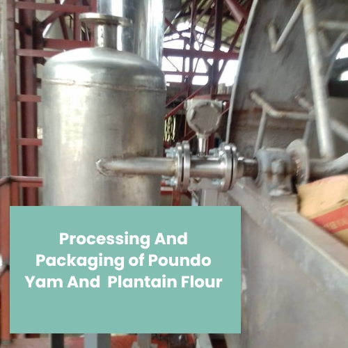 HOW TO START MANUFACTURING INDUSTRIES: Processing And Packaging of ...